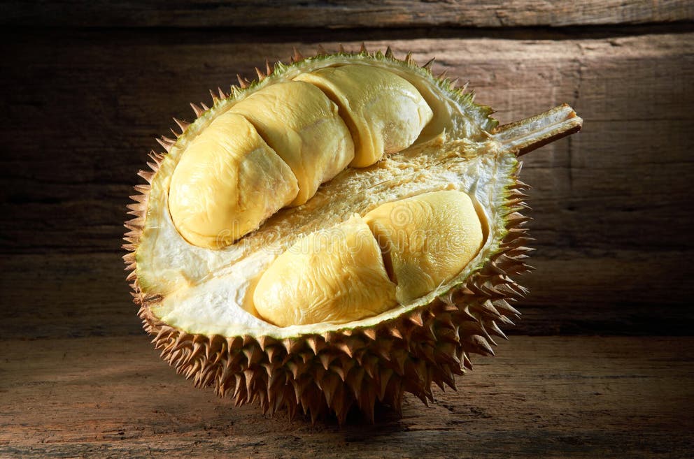 Durian stock photo. Image of food, pulp, asian, orange - 22621866