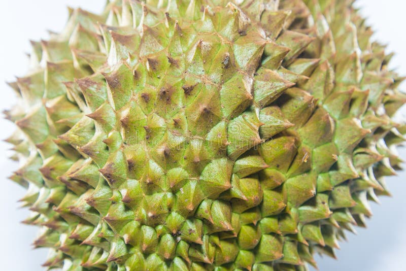 Durian stock afbeelding. Image of zwart, isoleer, voedsel - 82245613