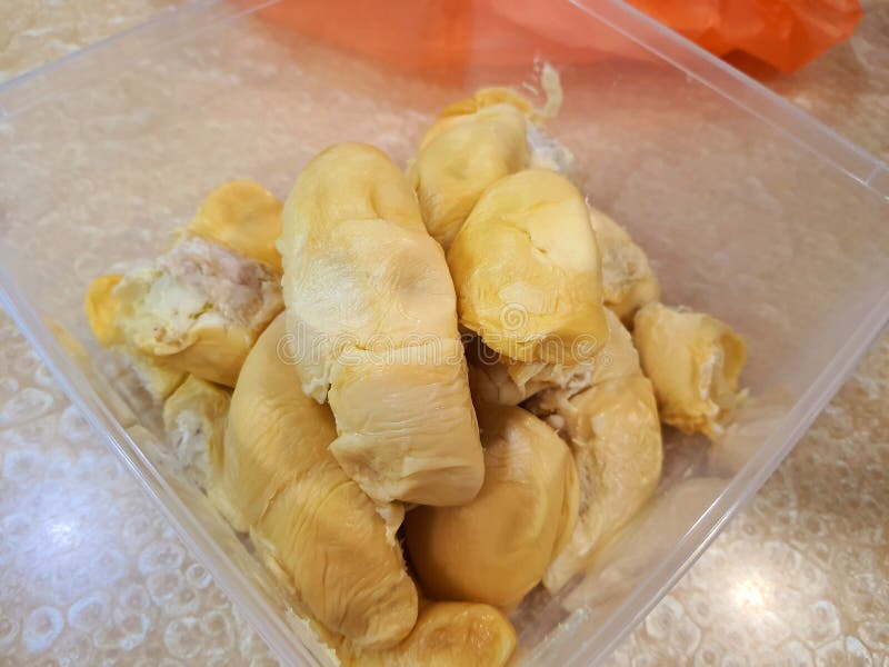 Durian in box stock photo. Image of fish, vegetable - 272150340