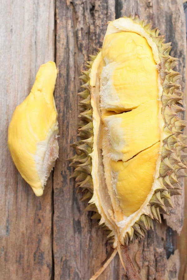 Durian. stock photo. Image of portion, orange, spikes - 42839188