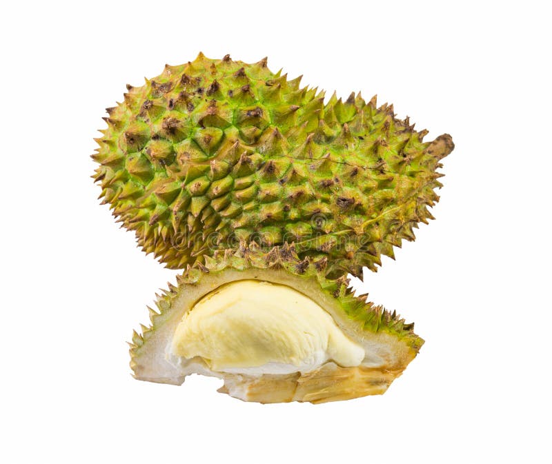 2,302 Durian Section Stock Photos - Free & Royalty-Free Stock Photos ...