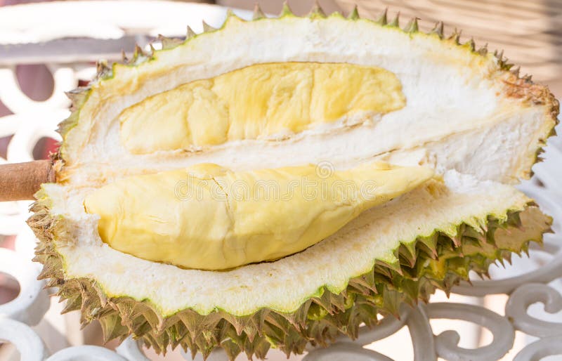 Durian stock image. Image of nutrient, inside, fruits - 42135717