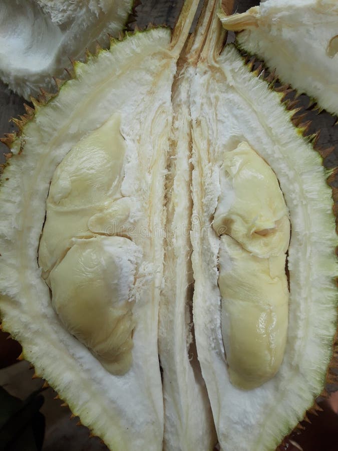 Durian stock image. Image of dessert, delicious, dish - 210526975