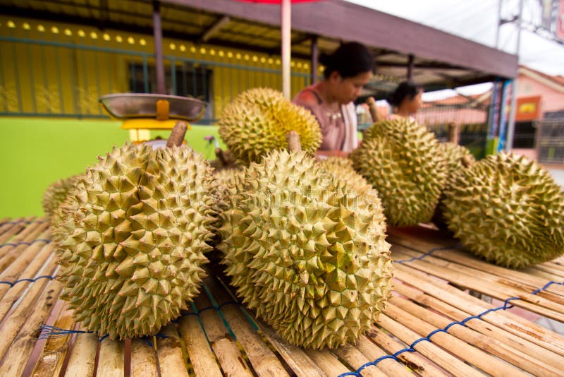 Durian stock photo. Image of durian, trade, market, durians - 41890556