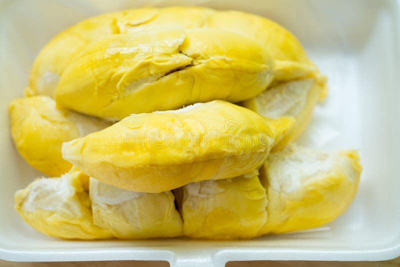 Durian is in a Foam Package Stock Image - Image of natural, brown ...