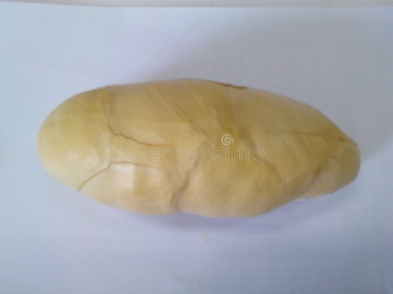 The durian stock photo. Image of durian, fresh, food - 43199712