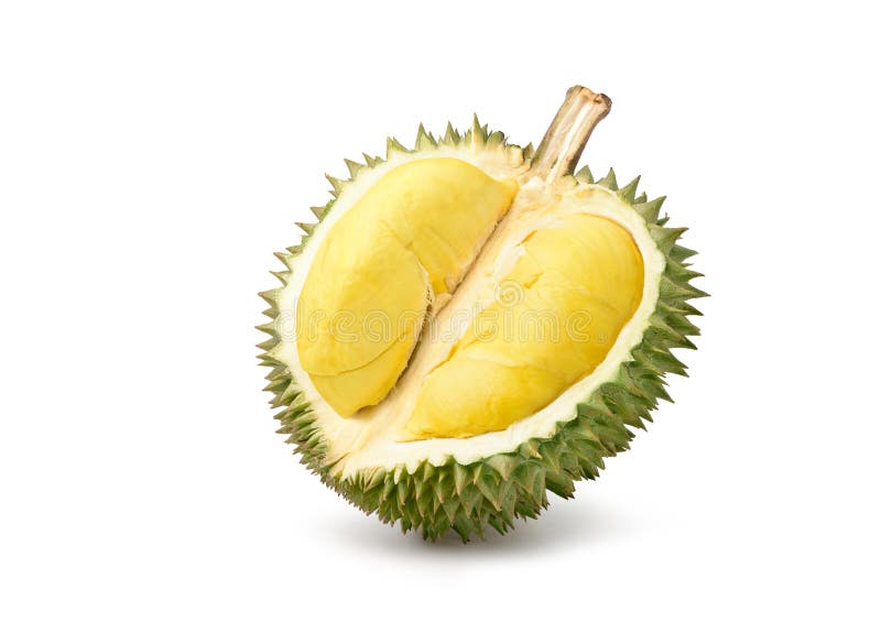 Durian and Half Durian Isolated on White Background Generated by AI ...