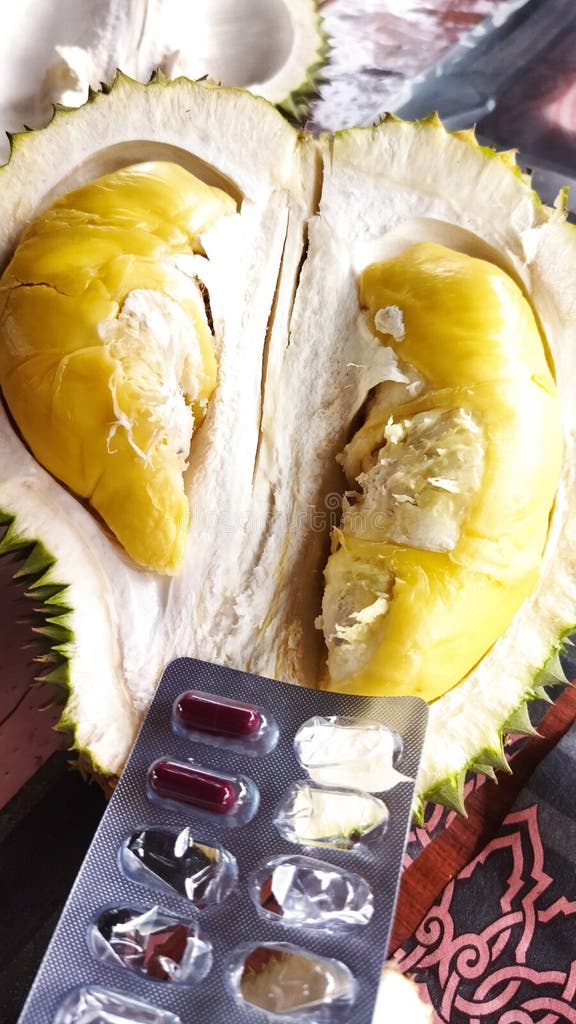 Durian Fruit Falling from the Tree Stock Photo - Image of durian, trees ...