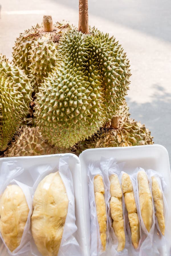 Mature Durian And Durian Shell On Blue Polka Dots Background. Stock ...