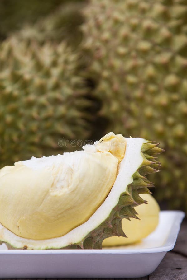 Golden Orange Durian stock photo. Image of display, picture - 28291642