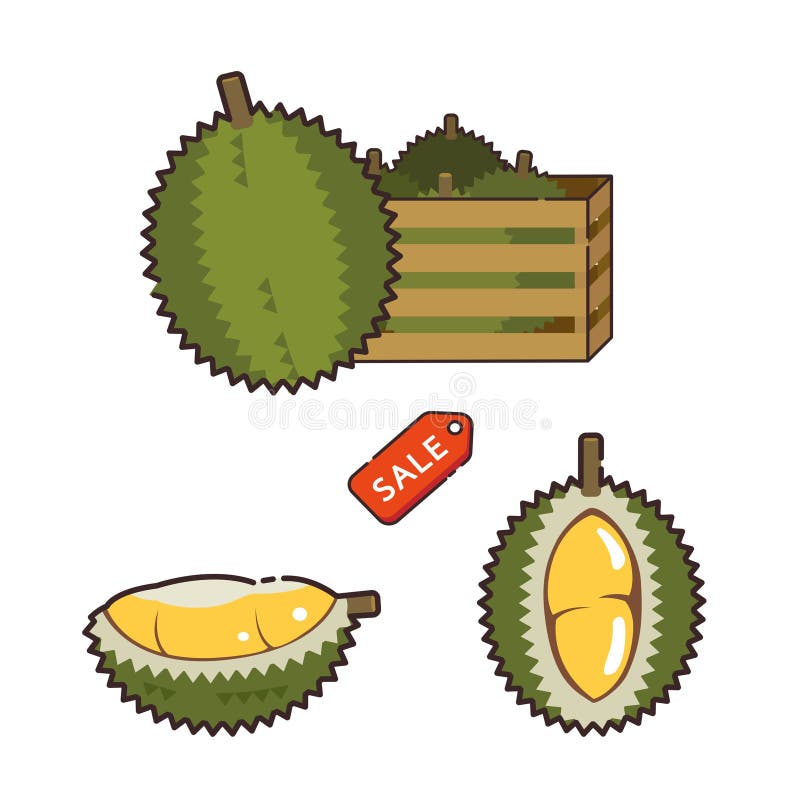Durian fruit icon stock vector. Illustration of diet - 356850970