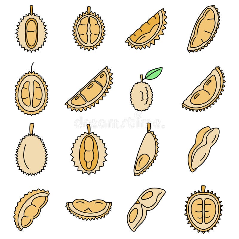 Durian Fruit Icons Set Vector Color Stock Vector - Illustration of ...