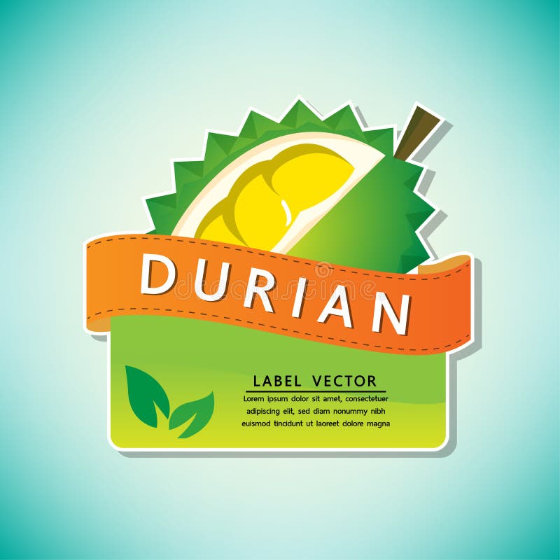 Durian Label. Vector Illustration Decorative Design Stock Vector ...