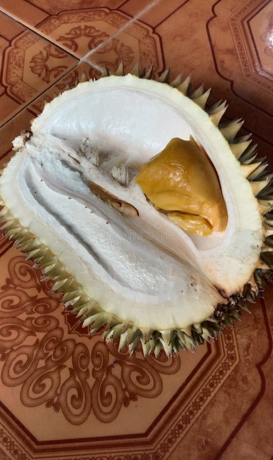 Durian fruit nice stock image. Image of orange, thorny - 279045779