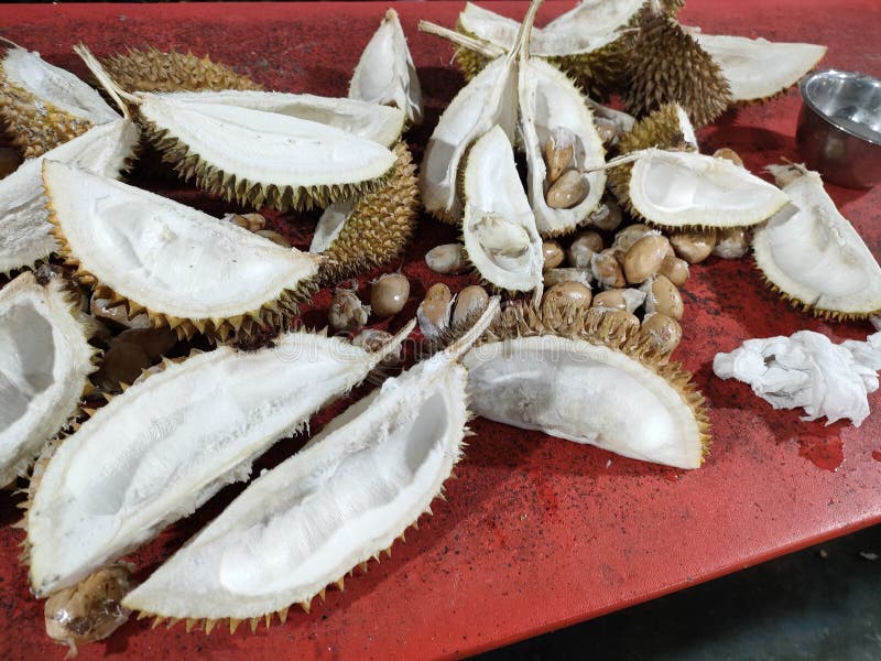 Durian Fruit Peels and Seeds Stock Photo - Image of seeds, insect ...