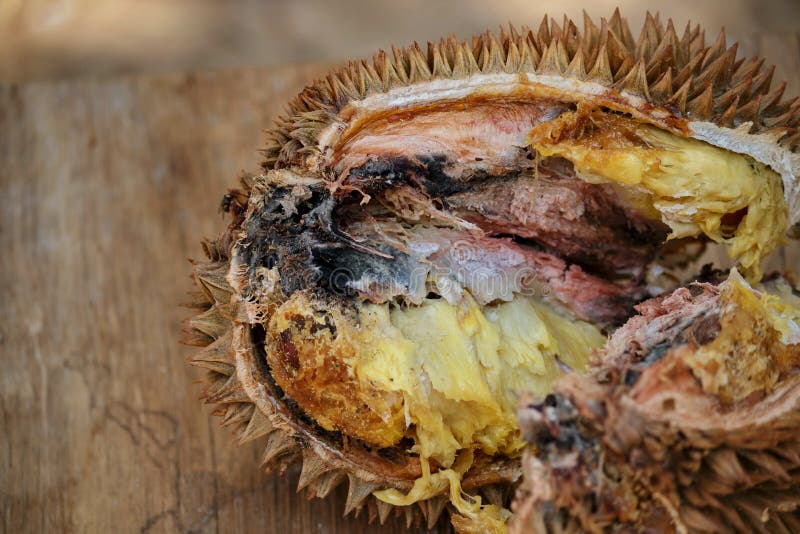 136 Durian Pest Stock Photos - Free & Royalty-Free Stock Photos from ...