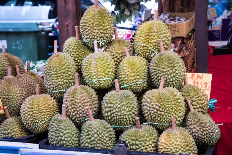 Durian fruit for sale stock image. Image of garden, durion - 87890579