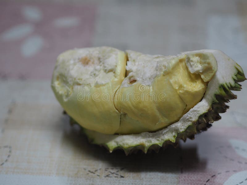Durian Fruit with Sharp Bark Flesh in the Sweet Yellow Color Stock ...