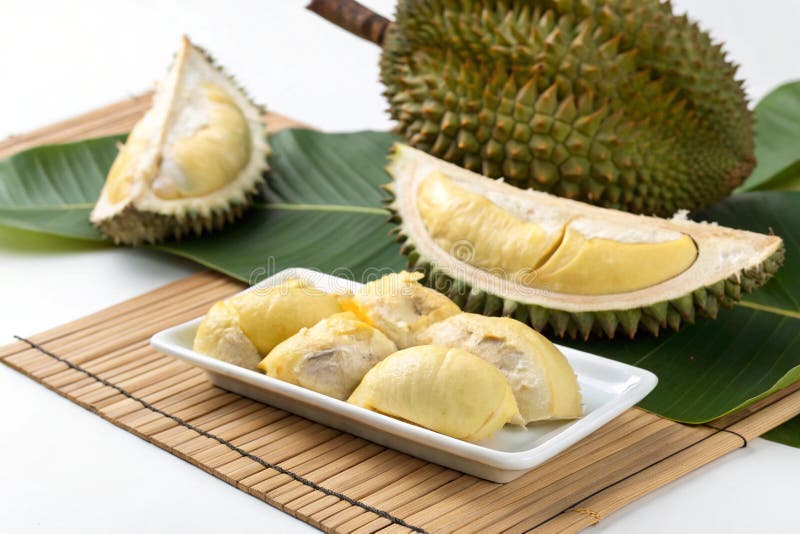 Durian Fruit from Southeast Asia Stock Illustration - Illustration of ...