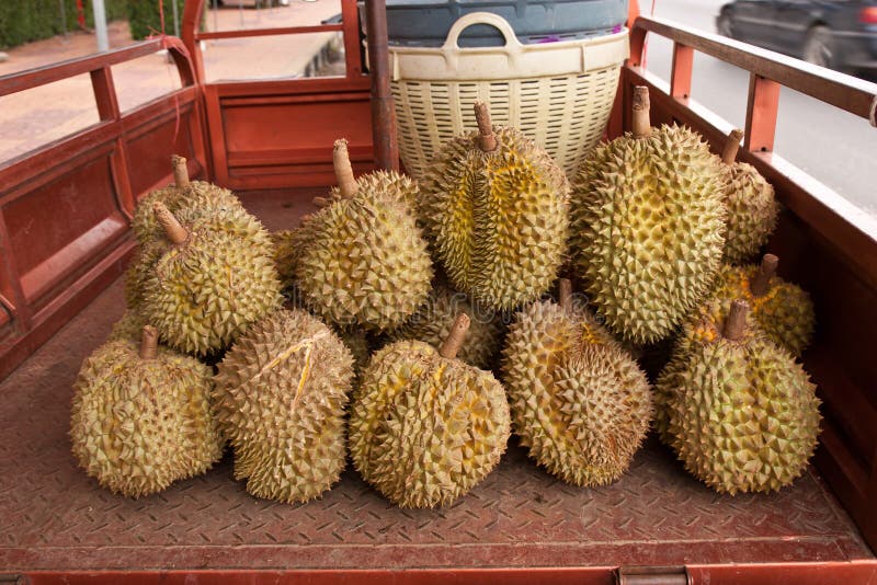 Durian fruit, Thai stock image. Image of dessert, harvest - 41737675