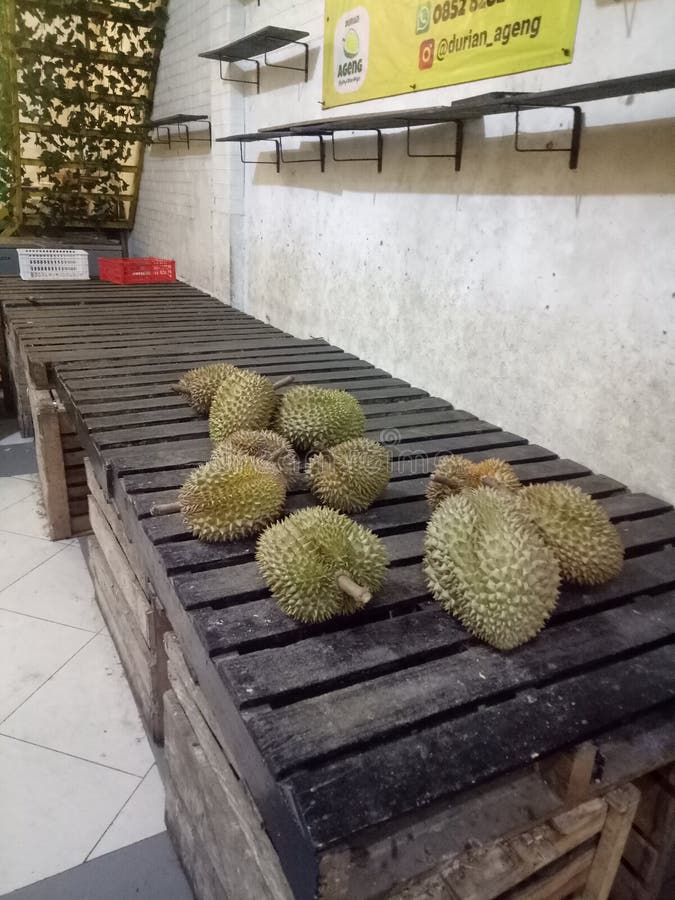 Durian Fruit on the Wooden Table Stock Photo - Image of flooring, fruit ...