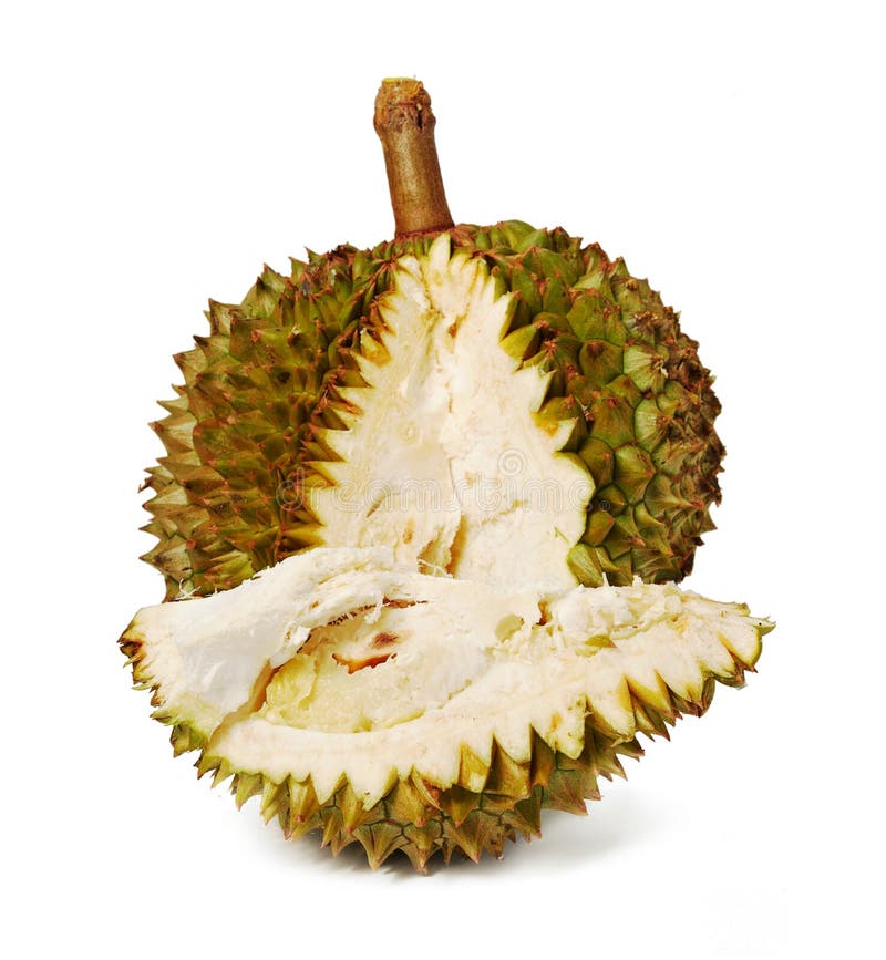 Durian. Fruta Tropical Gigante. Imagen de archivo - Imagen de aislado ...