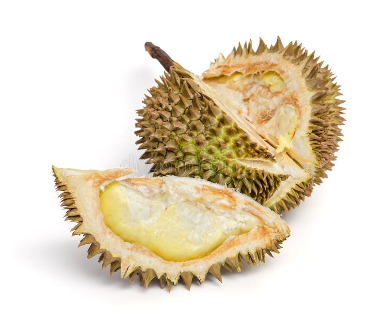 Durian. Fruta Tropical Gigante. Imagen de archivo - Imagen de crudo ...