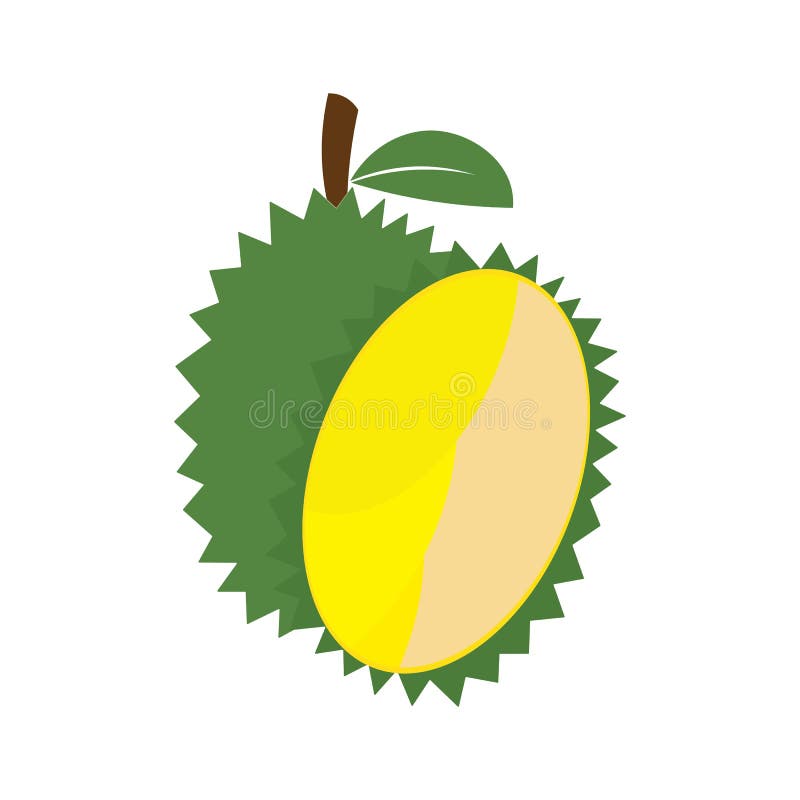 Durian Icon Logo Vector Design Stock Vector - Illustration of fresh ...