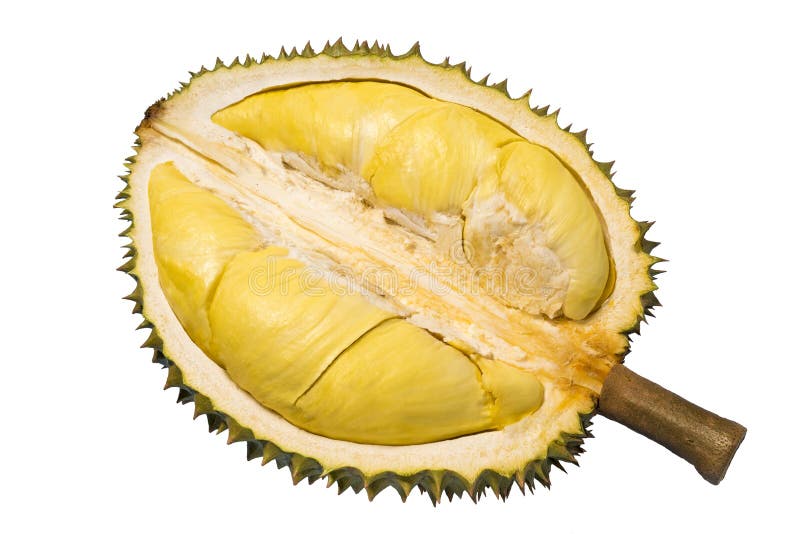 240 Durian Packaging Stock Photos - Free & Royalty-Free Stock Photos ...