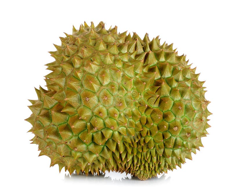 Durian Isolated on White with Clipping Path Stock Image - Image of path ...