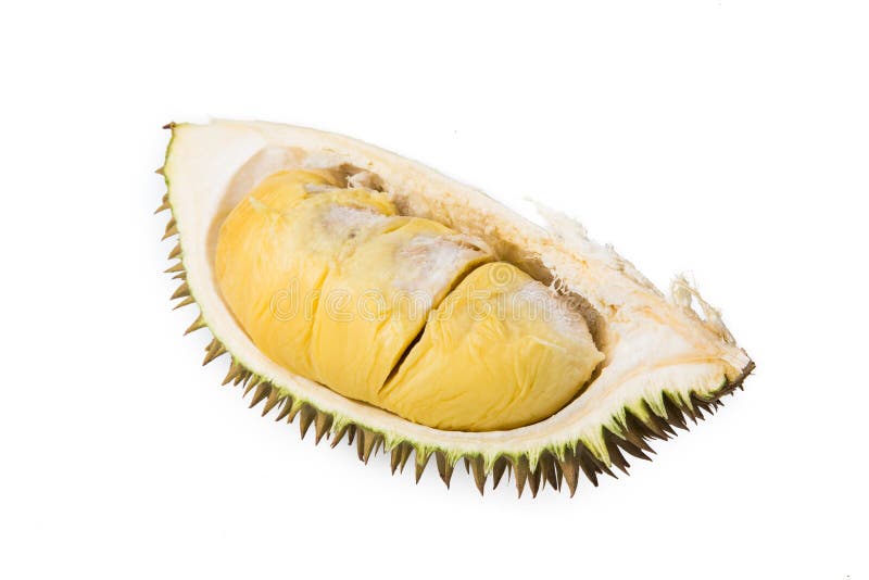 Durian stock photo. Image of delicious, sweet, orange - 155667402