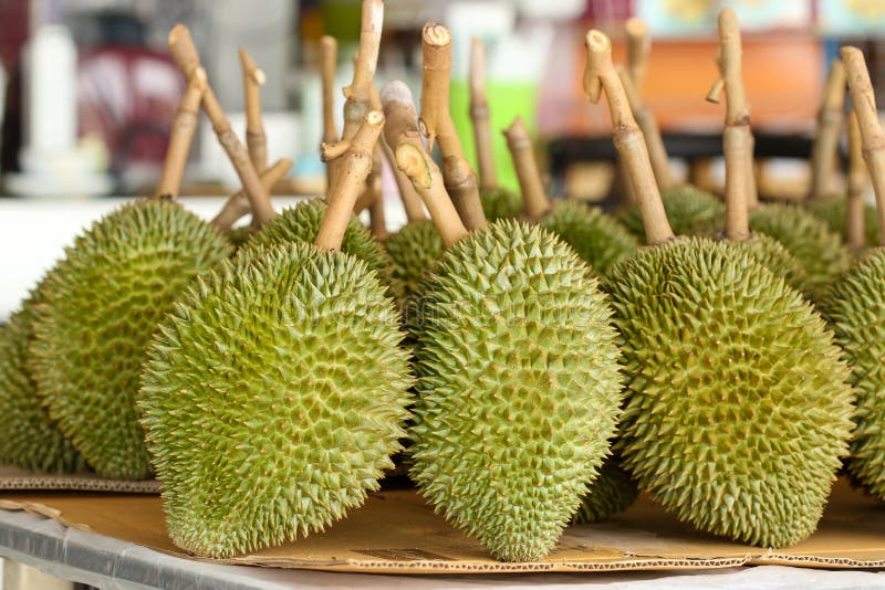 265 Floating Durian Fruit Stock Photos - Free & Royalty-Free Stock ...