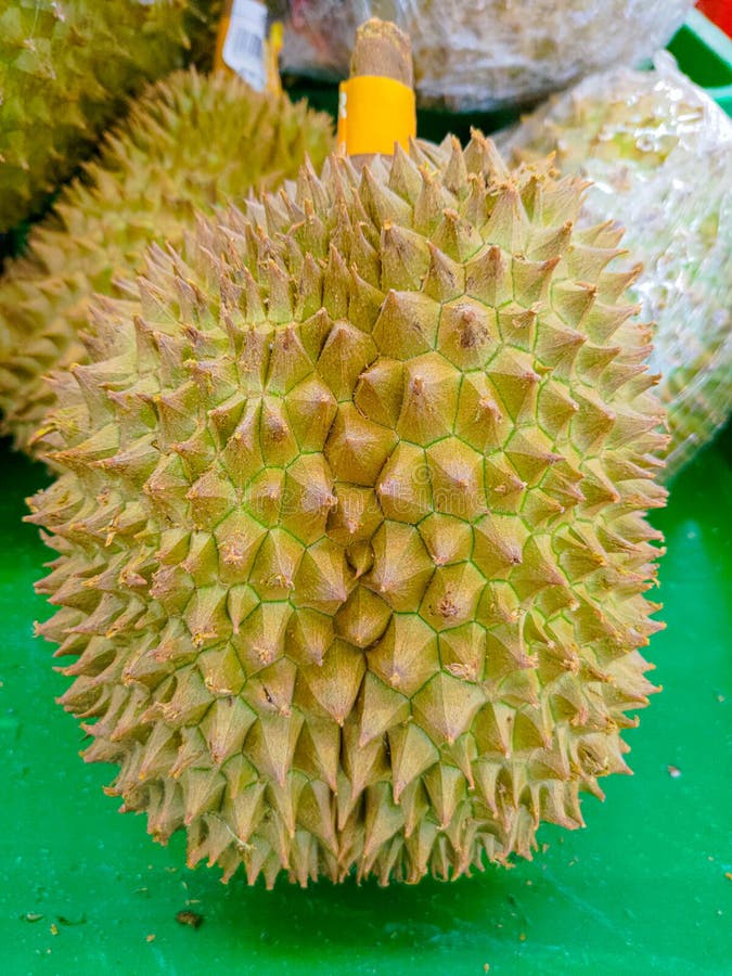 Durian King of Fruit Asian Fruit Stock Photo - Image of nature, yellow ...