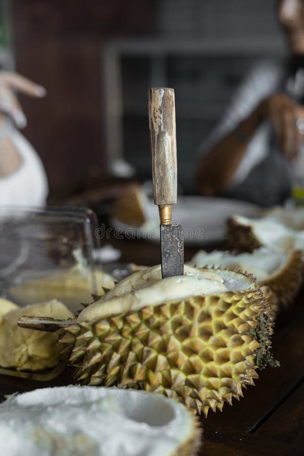 Durian lies on the table stock photo. Image of fruit - 184217522