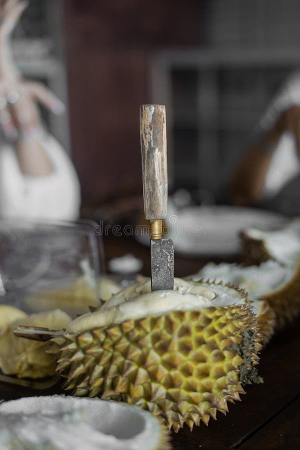 Durian lies on the table stock image. Image of smelly - 184217673