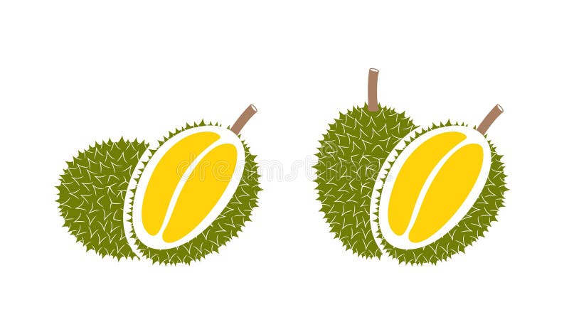 Durian Logo. Isolated Durian on White Background Stock Vector ...