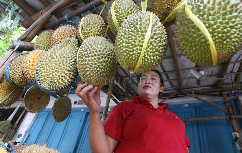 Durian editorial stock photo. Image of solo, roadside - 35620763