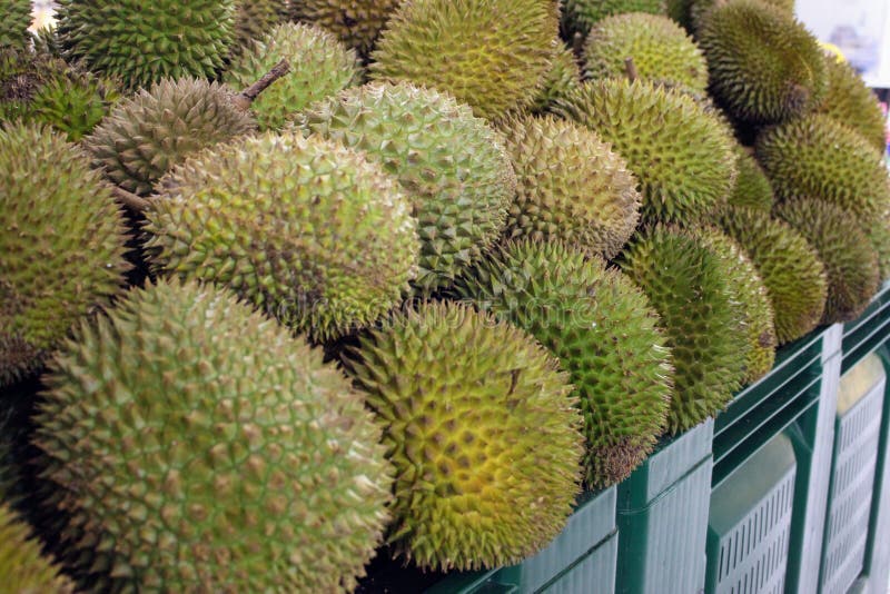 Durian Natural Abstract Background Stock Image - Image of plant ...