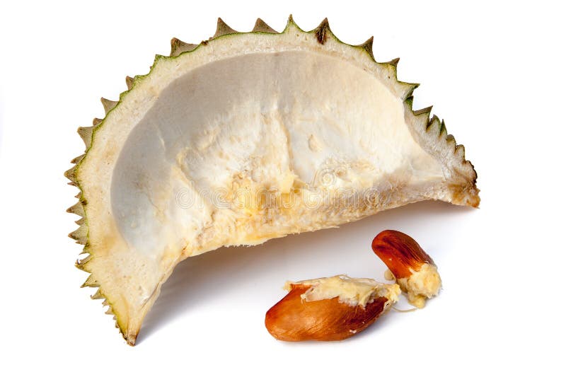 Durian is open the rind stock image. Image of fresh, healthy - 31724919