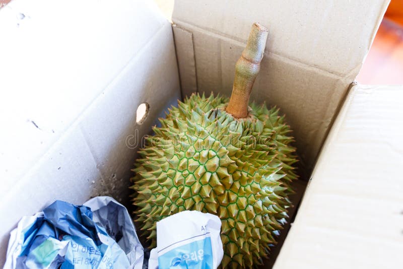 329 Durian Box Stock Photos - Free & Royalty-Free Stock Photos from ...