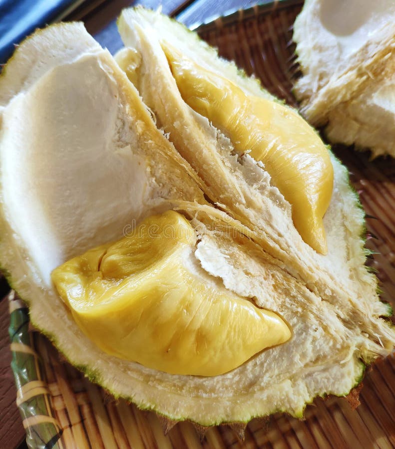 Durian Pulp of Musang King in Malaysia Stock Photo - Image of eating ...