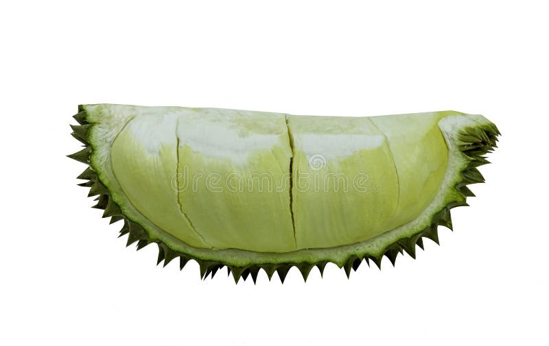 Durian Pulp with Peel Isolated on White Background Stock Image - Image ...