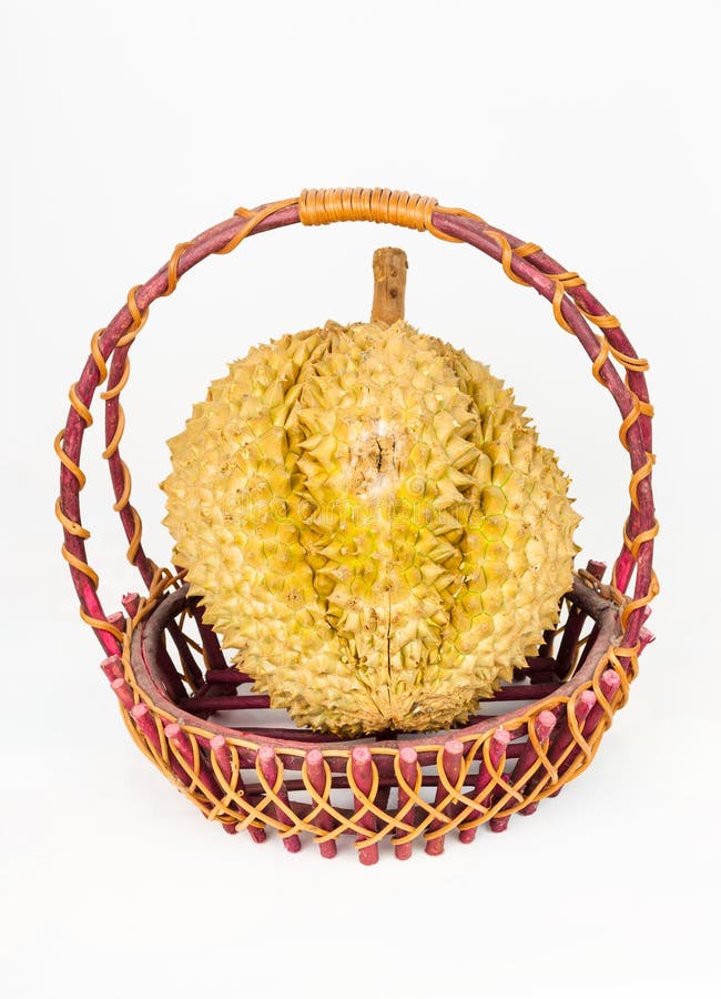 Durian in Rattan Basket stock image. Image of handicraft - 41729851