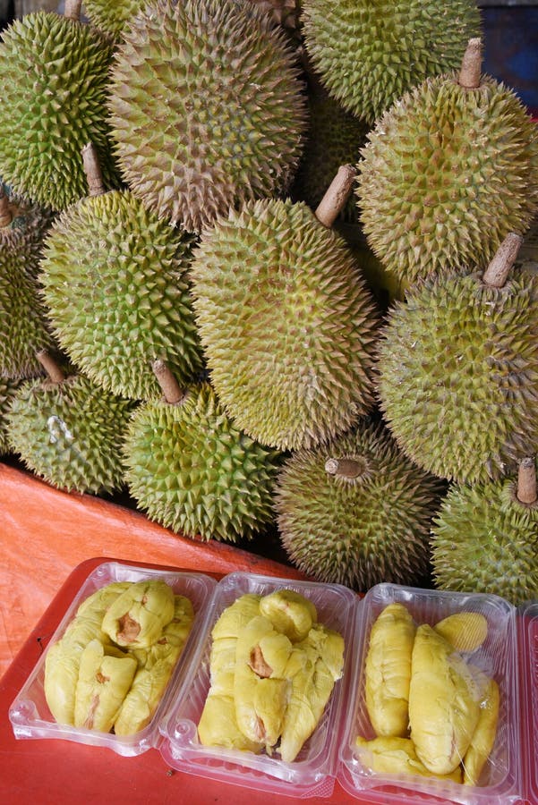 Durian stock image. Image of farm, fresh, durians, asian - 167355047