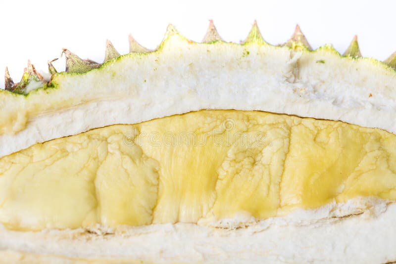 Durian stock image. Image of ripe, healthy, spiked, gourmet - 38418255