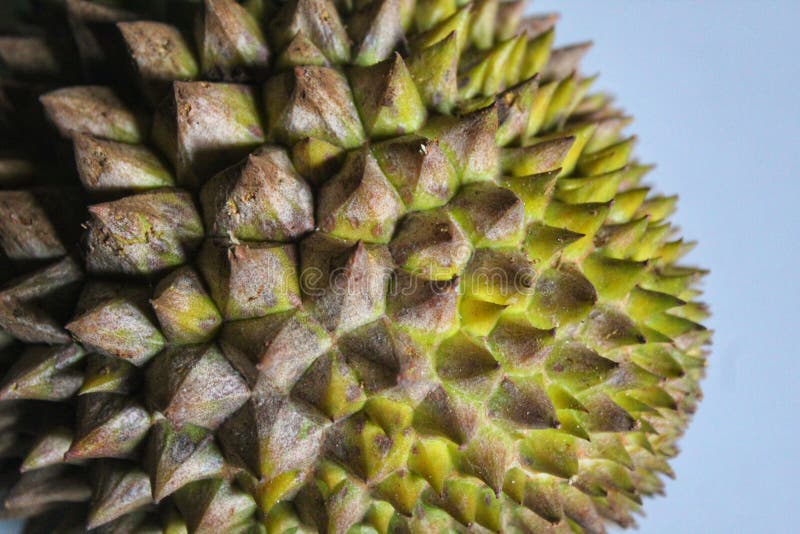 Durian Skin is Brownish Green Stock Image - Image of plant, natural ...