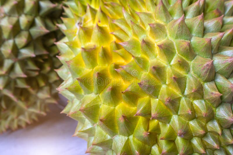 Close Up Of The Durian Skin Stock Photo - Image of nature, ingredient ...