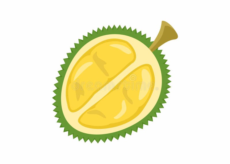 Durian Slice. Simple Flat Illustration. Stock Vector - Illustration of ...