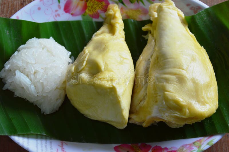 Durian and sticky rice stock photo. Image of rice, product - 53699308