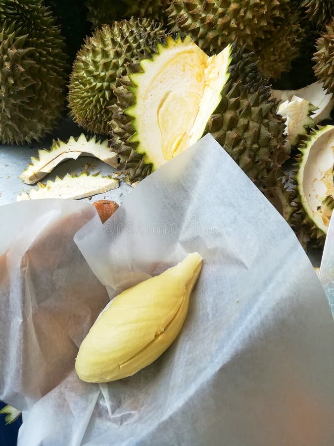 Durian of Sweet and Delicious Thai Fruit Stock Photo - Image of herb ...